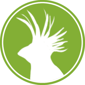 Home · Amazonia Expeditions