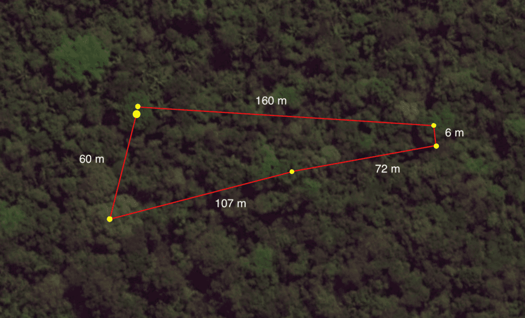 Canopy Experience | Amazonia Expeditions